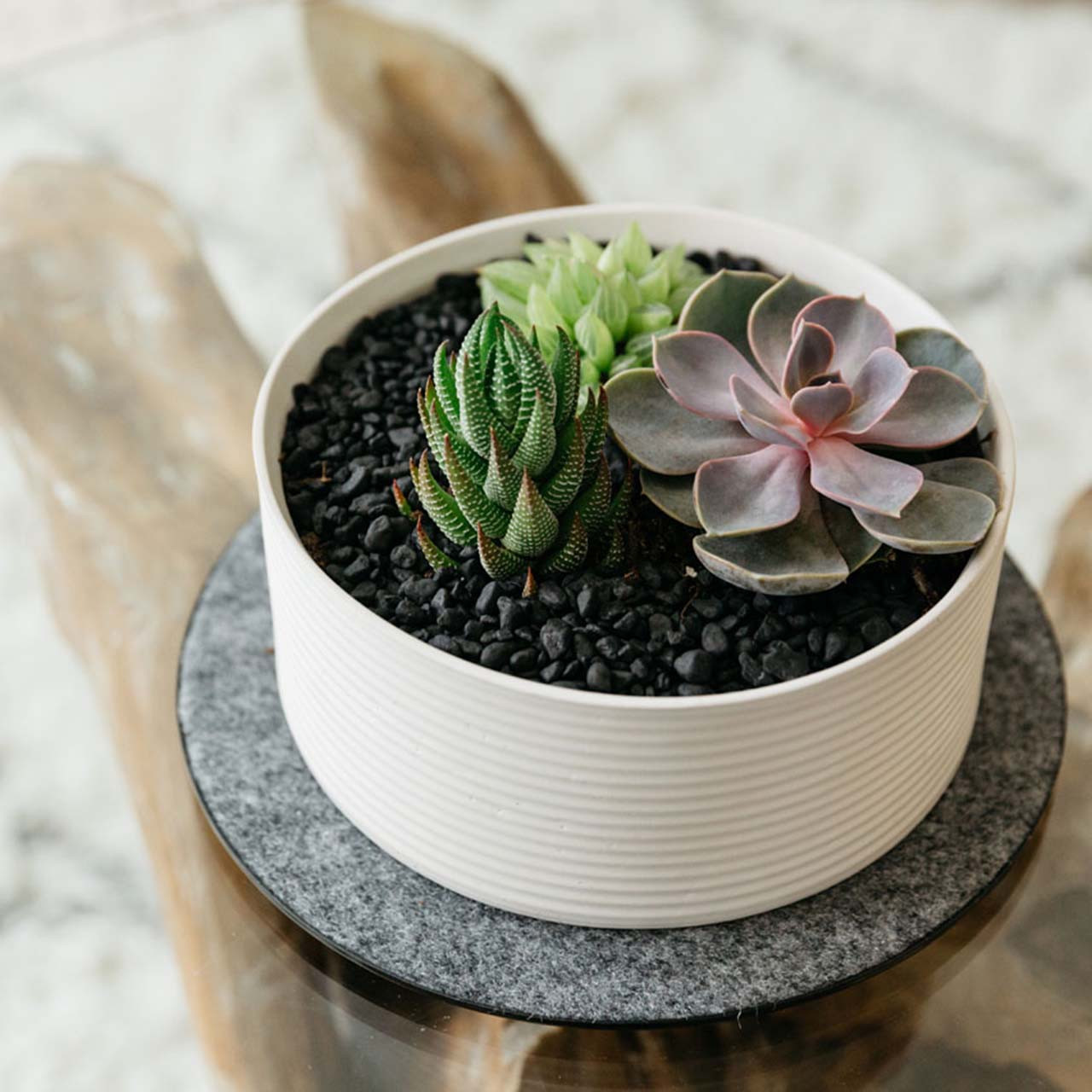 Everspring Surface Protector - Four Seasons Nursery