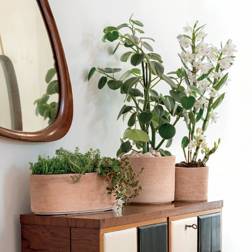 Luna Cilindro Mini Pot - Four Seasons Nursery