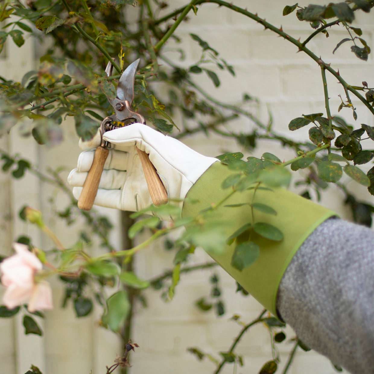 Garden Gauntlet Large - Four Seasons Nursery