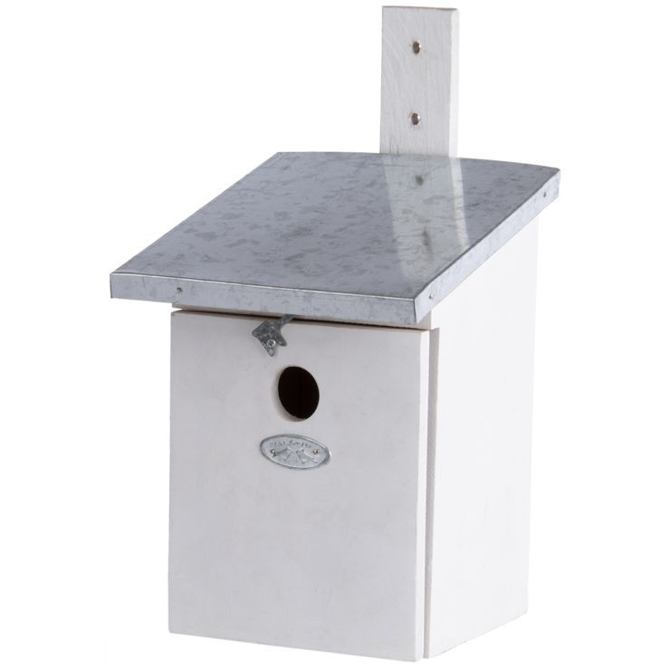 Nesting Box Observation - Four Seasons Nursery
