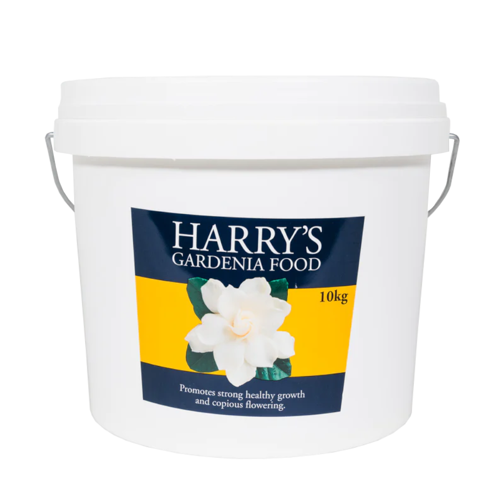 Harry's Gardenia Food - Four Seasons Nursery