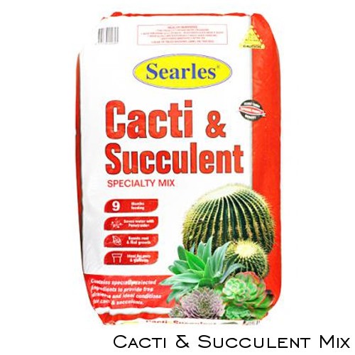 Cacti & Succulent Mix - Four Seasons Nursery