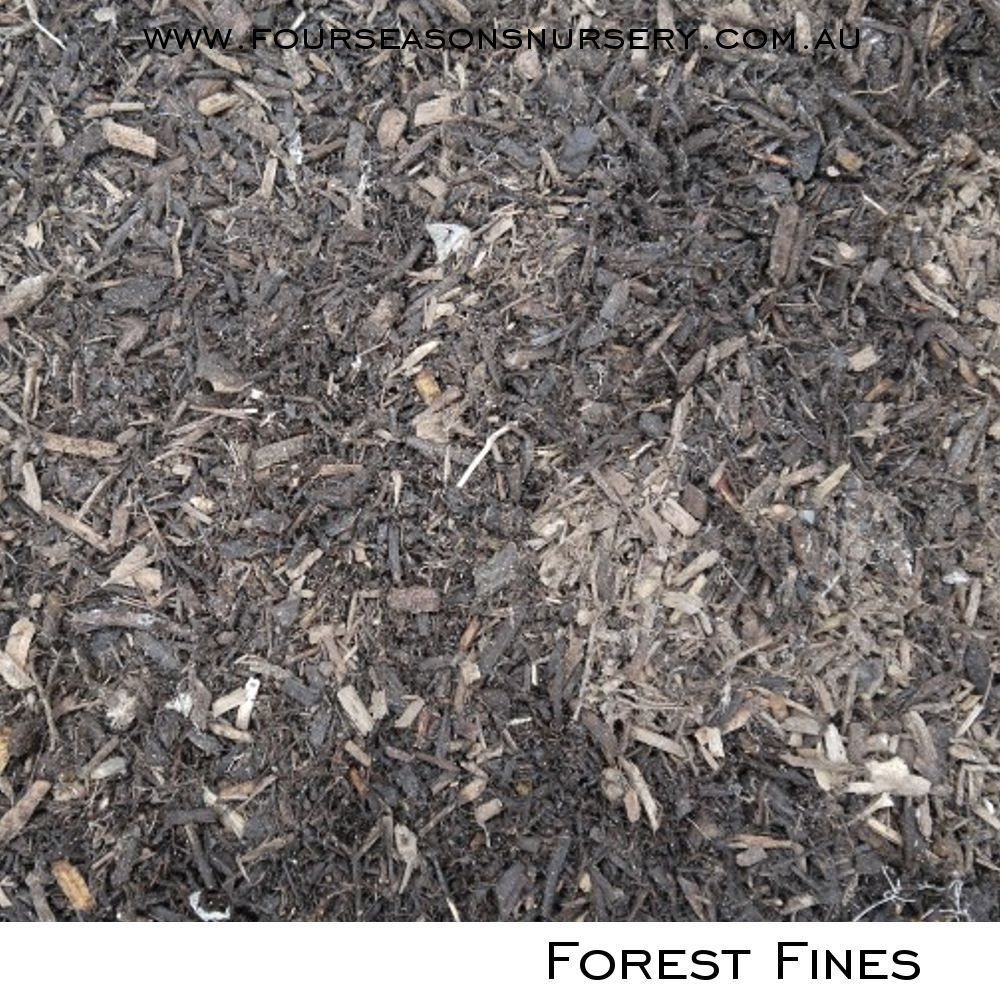 Forest Fines - Four Seasons Nursery