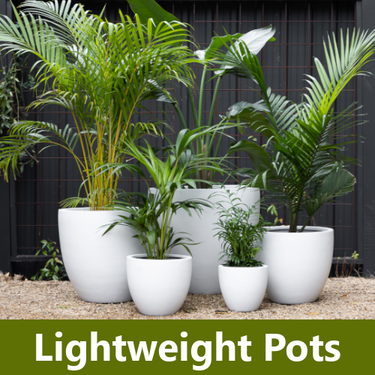 Lightweight Garden Pots | Easy-to-Move Planters | Four Seasons Nursery