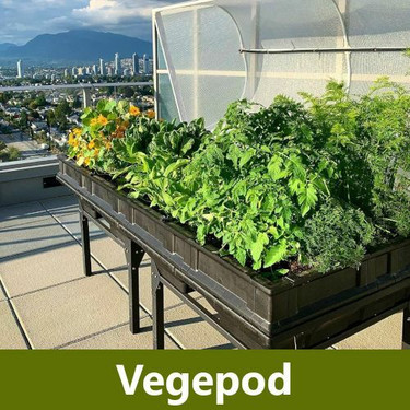 Vegepod Raised Garden Beds | Self-Watering Planters | Four Seasons Nursery