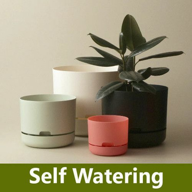 Self-Watering Pots | Easy Plant Care Solutions | Four Seasons Nursery