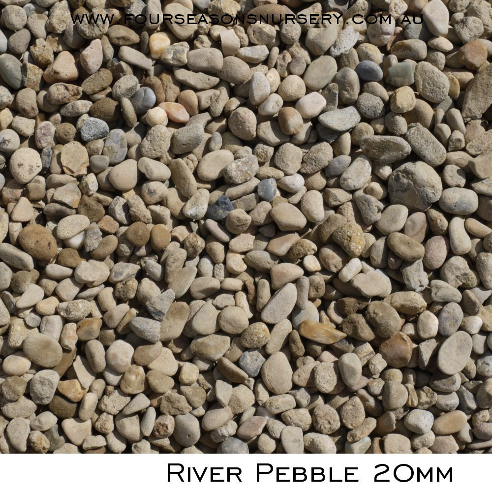 Round River Pebble 40mm - Four Seasons Nursery