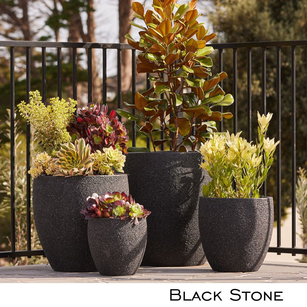 Bluestone Stepping Stone 30-50 - Four Seasons Nursery