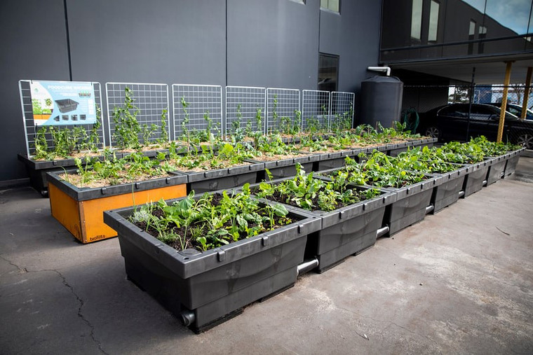 Foodcube Wicking Garden Bed - Four Seasons Nursery