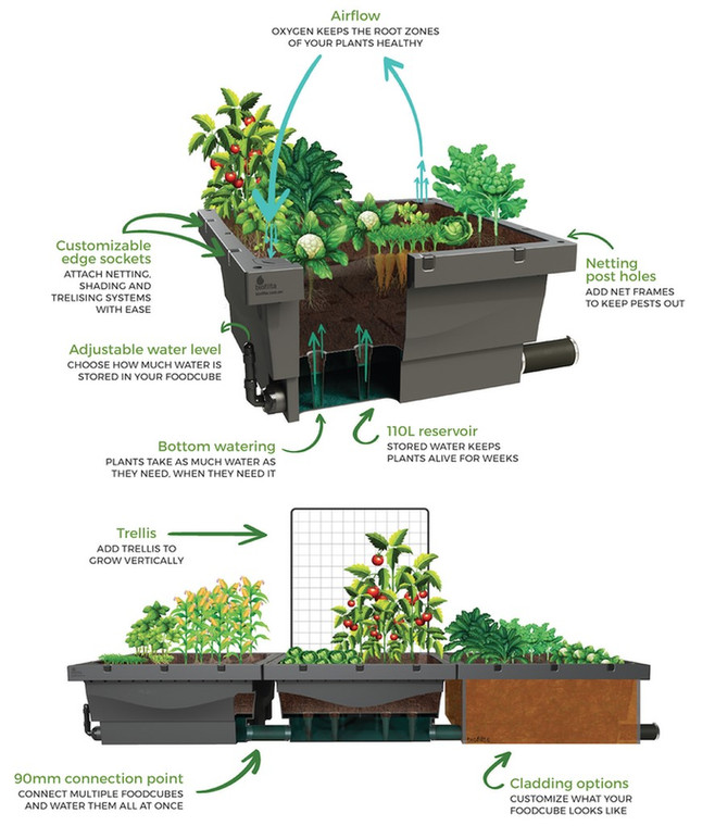 Foodcube Wicking Garden Bed - Four Seasons Nursery