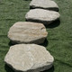 Stepping Stone Natural Quartz 400-500mm - Four Seasons Nursery