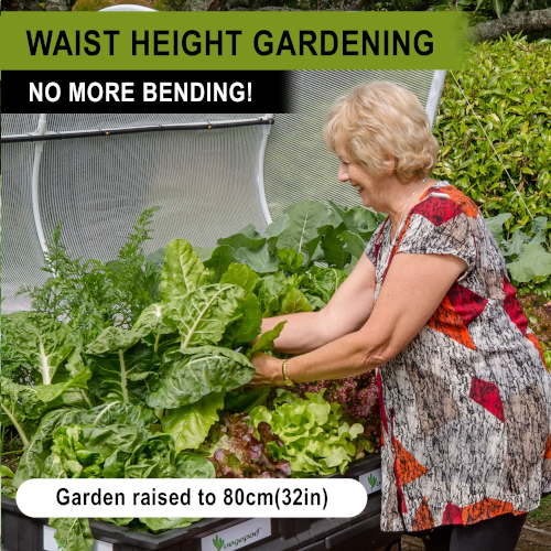 Vegepod Raised Garden Beds | Self-Watering Planters | Four Seasons Nursery