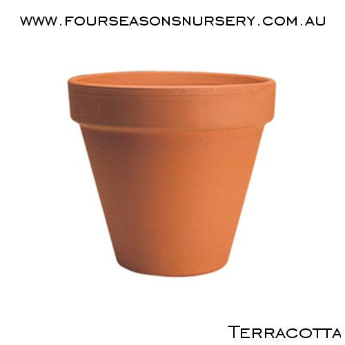 Terracotta Standard Cone - Four Seasons Nursery