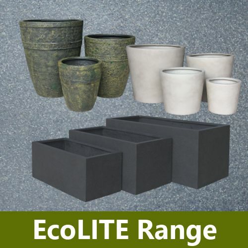 Buy Plant Pots, Nearest Garden Center | Four Seasons Nursery