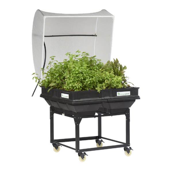 The Ultimate Showdown: Waterups Oasis, Vegepod, and Biofilta Food Cube ...