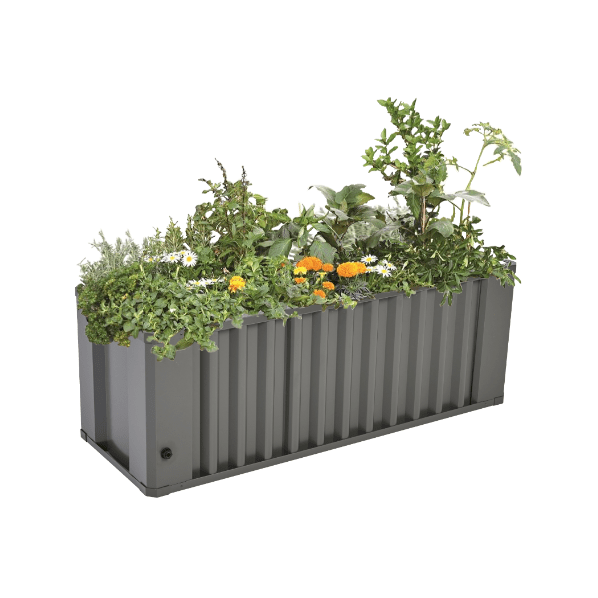 The Ultimate Showdown: Waterups Oasis, Vegepod, and Biofilta Food Cube ...