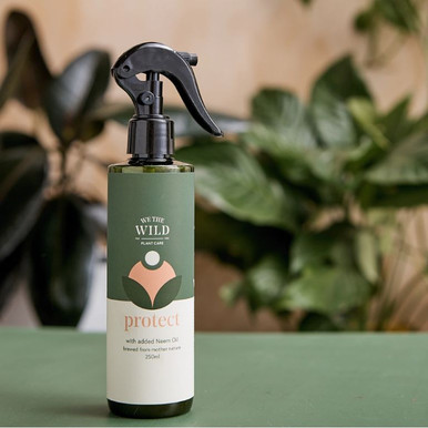 Protect Organic Spray 250ml - Four Seasons Nursery
