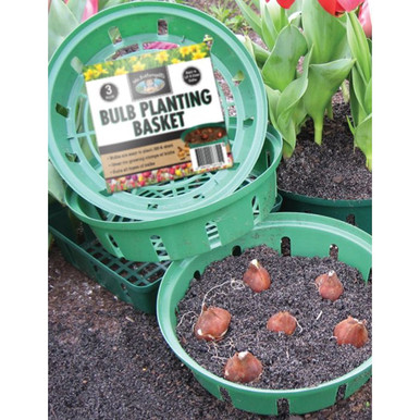 Bulb Planting & Storage Basket - Four Seasons Nursery