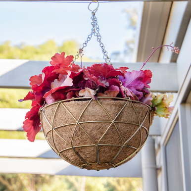 Alice Triangle Basket - Four Seasons Nursery