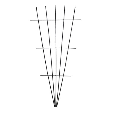 Fan Trellis 30 - 60cm - Four Seasons Nursery