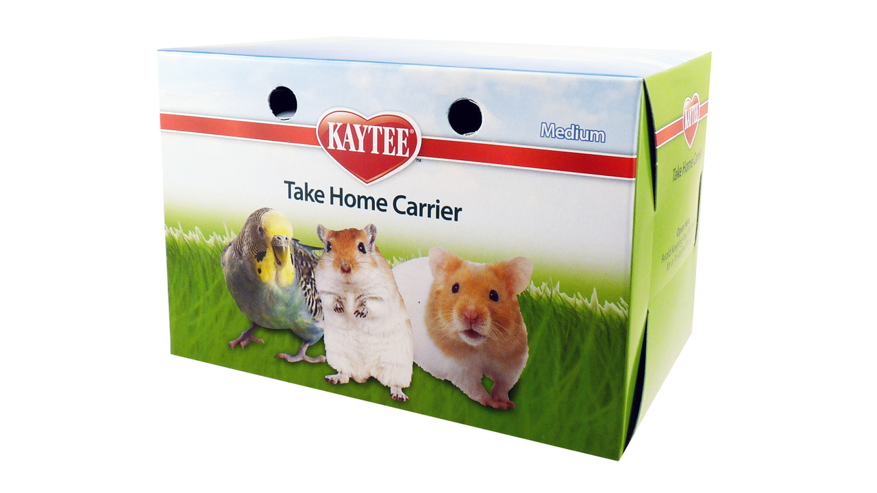 Kaytee Take Home Box - Medium - 15cm - Wonderworld Aquarium & Pet Centre