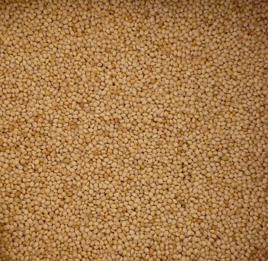 Tui White French Millet