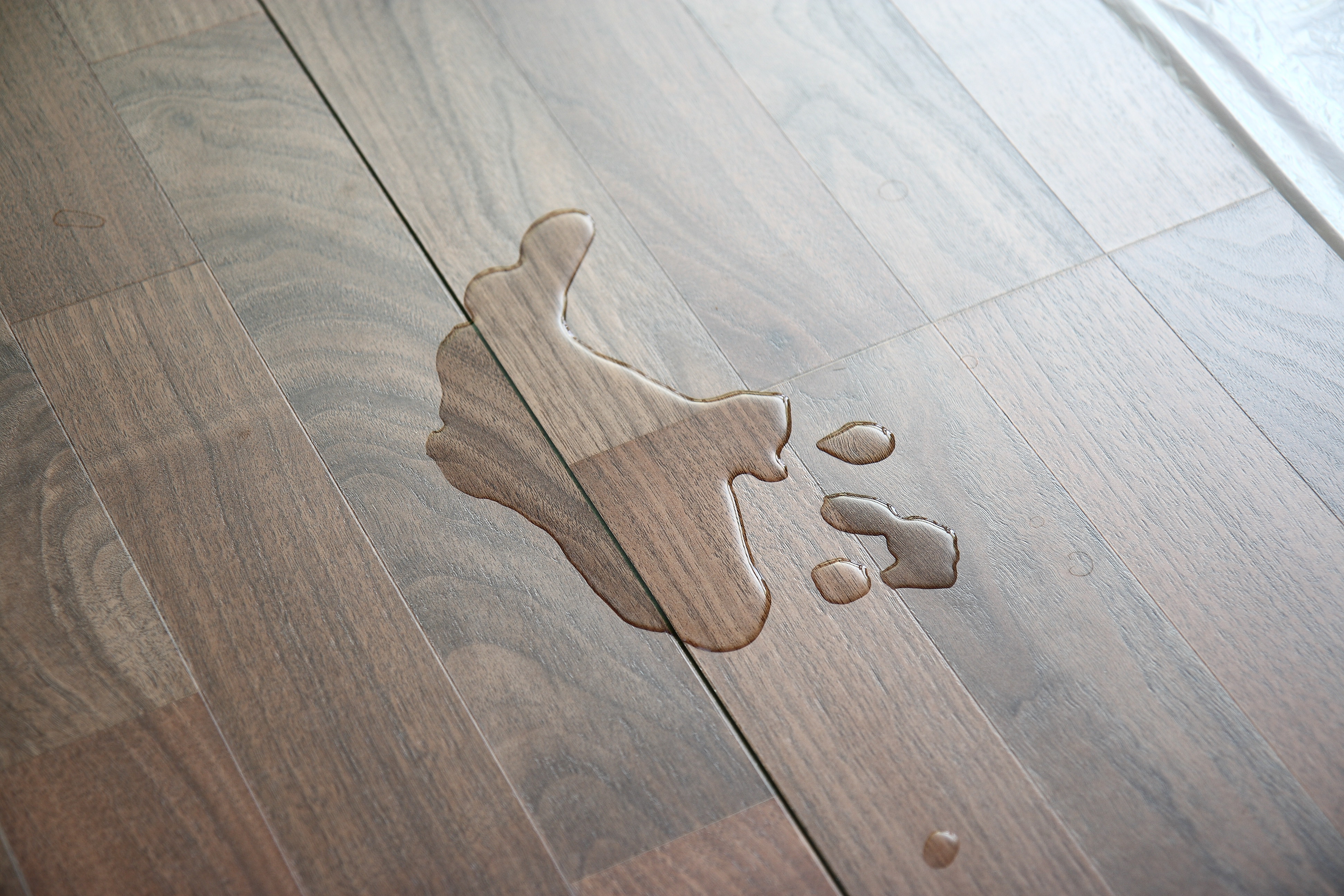 Four Waterproof Flooring Terms that You Need to Know - Floors To Your Home