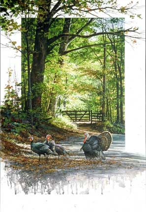 Luke Buck - Country Scenes and Nature Art