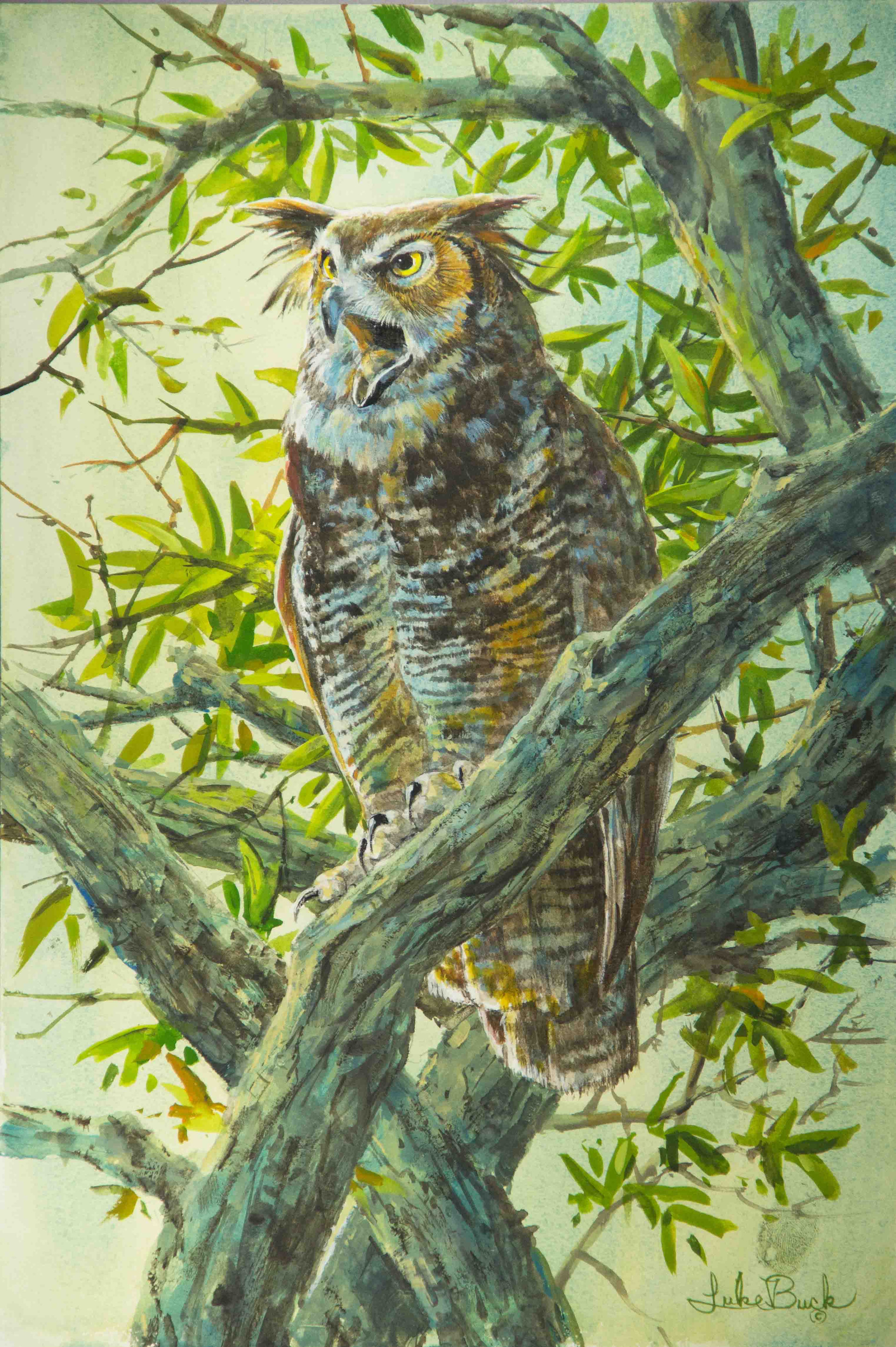 Luke Buck - Country Scenes and Nature Art