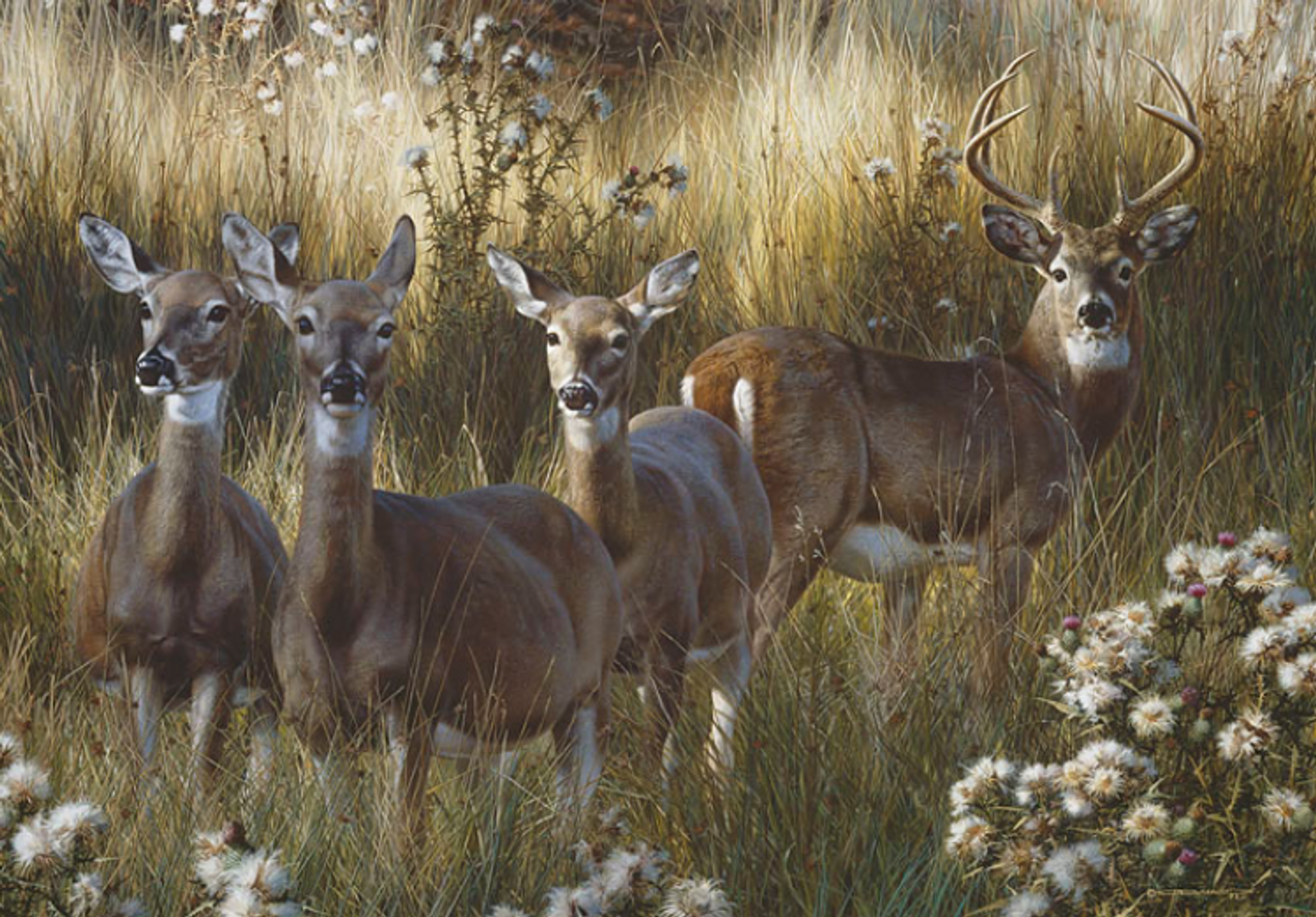 Carl Brenders art prints and giclee canvas limited editions
