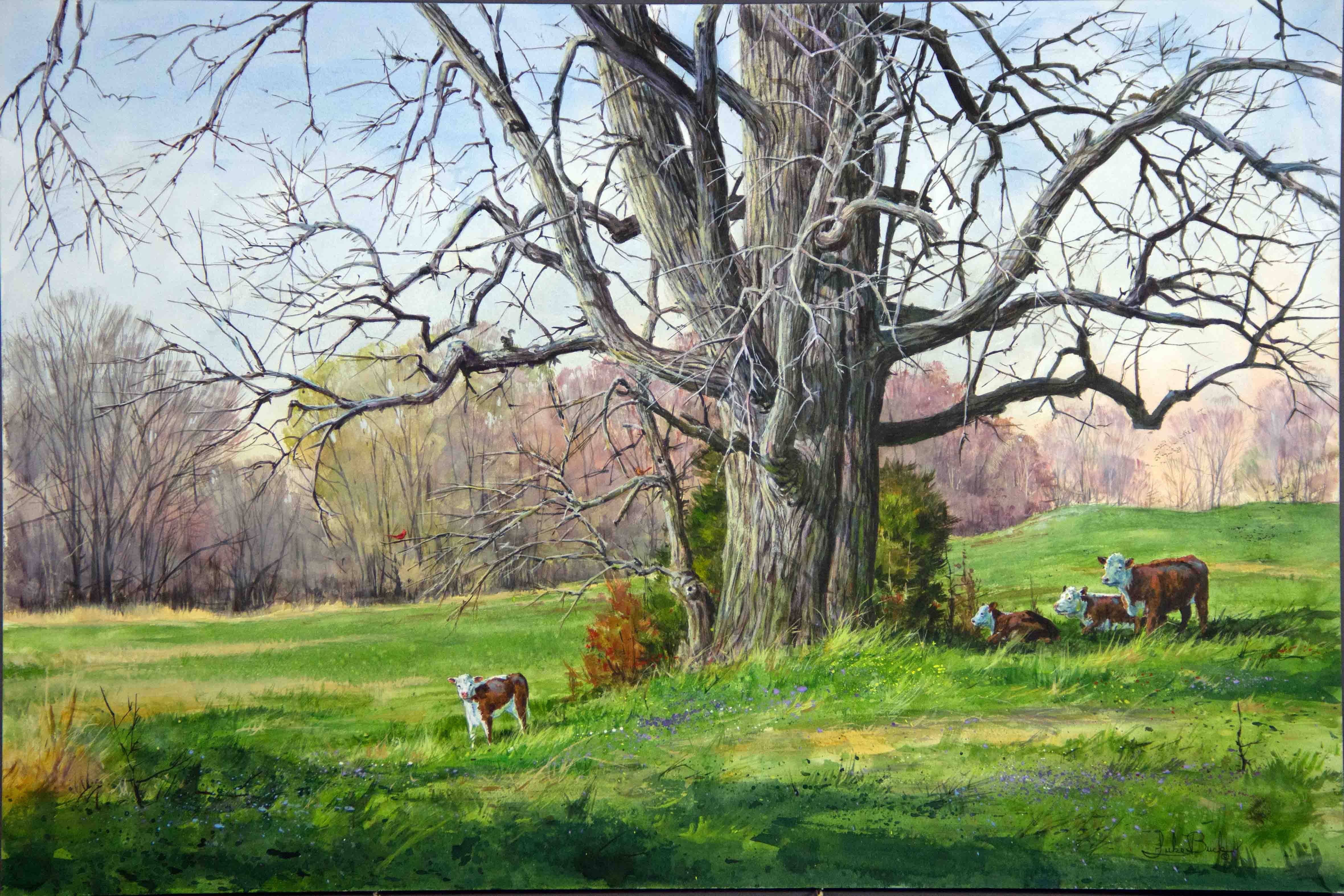 The Mighty Oak Comfort by Luke Buck - original painting - Ashley's Art ...