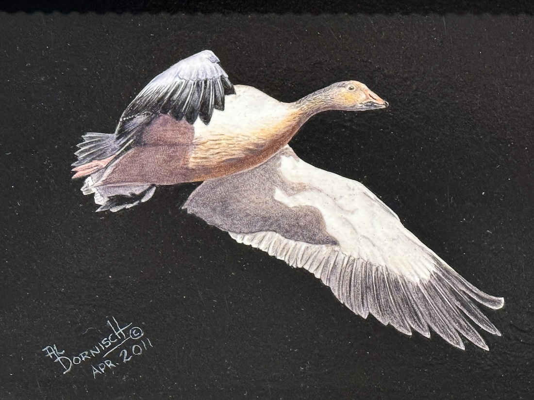 Goose original painting by Al Dornisch - Ashley's Art Gallery