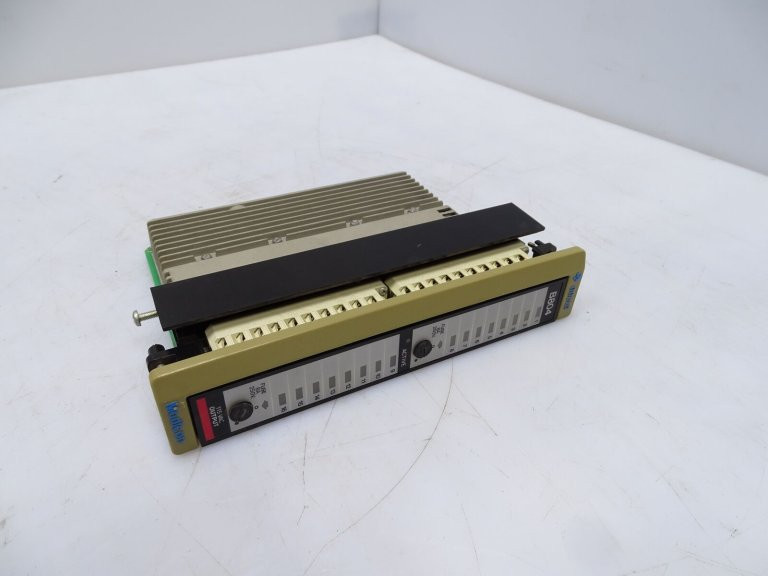 Modicon B804 Analog Output Module