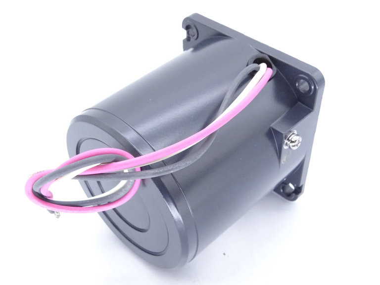 Oriental Motor 4IK25GN-AW2U Motor