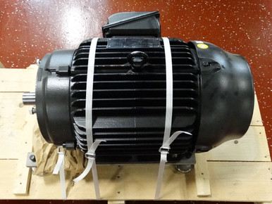 Weg TE1BF0X0N Motor
