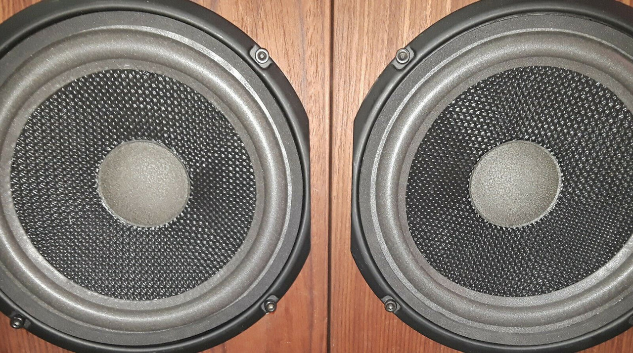 Epicure EPI Model 3 Loudspeaker System (Brand New!) - Wolf's Big Bad Garage