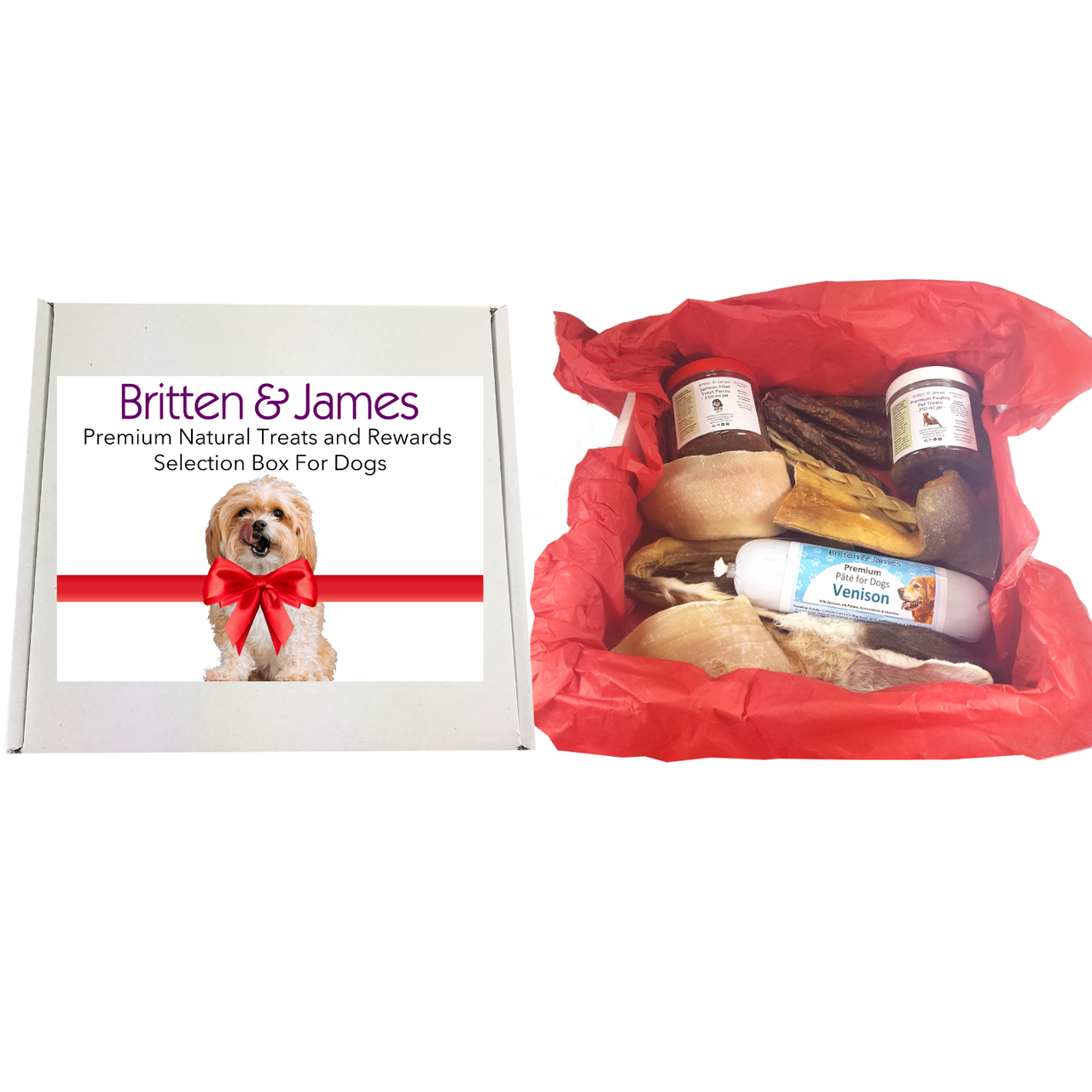 Premium Natural Treats & Rewards Selection Box for Dogs