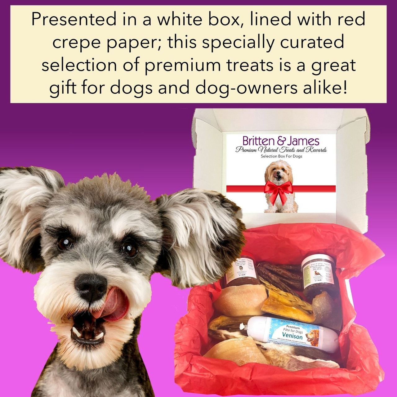 Premium Natural Treats & Rewards Selection Box for Dogs