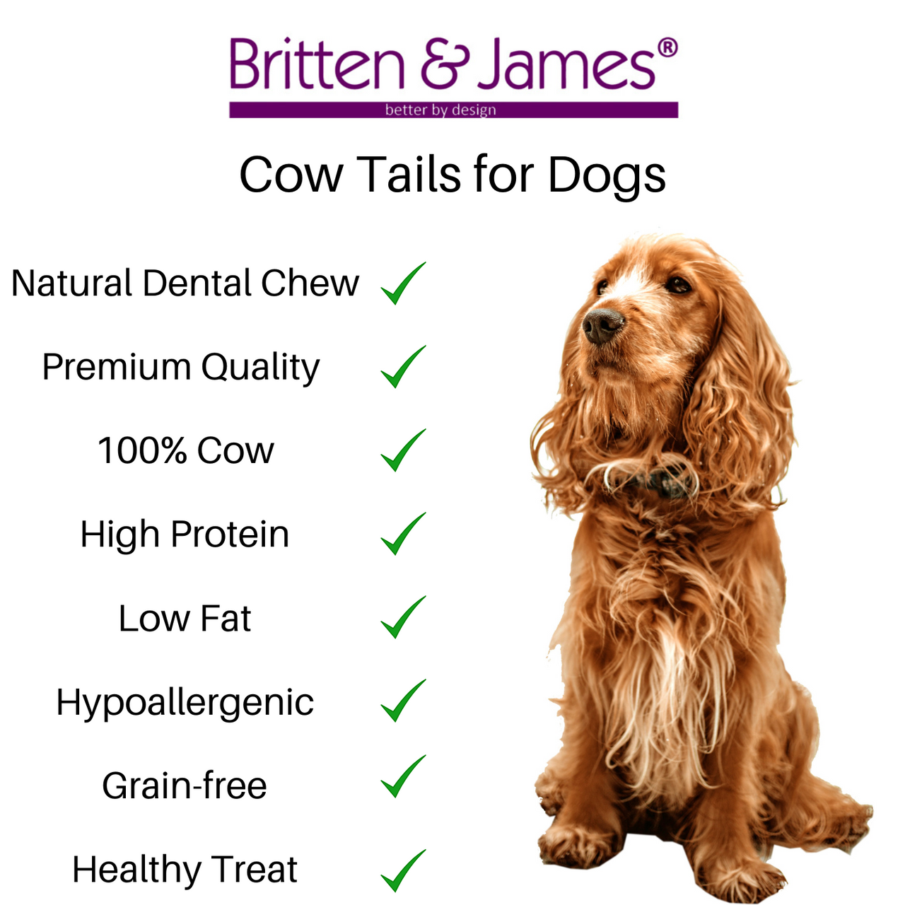 10 Cow Tails for Dogs - Medium - Britten & James