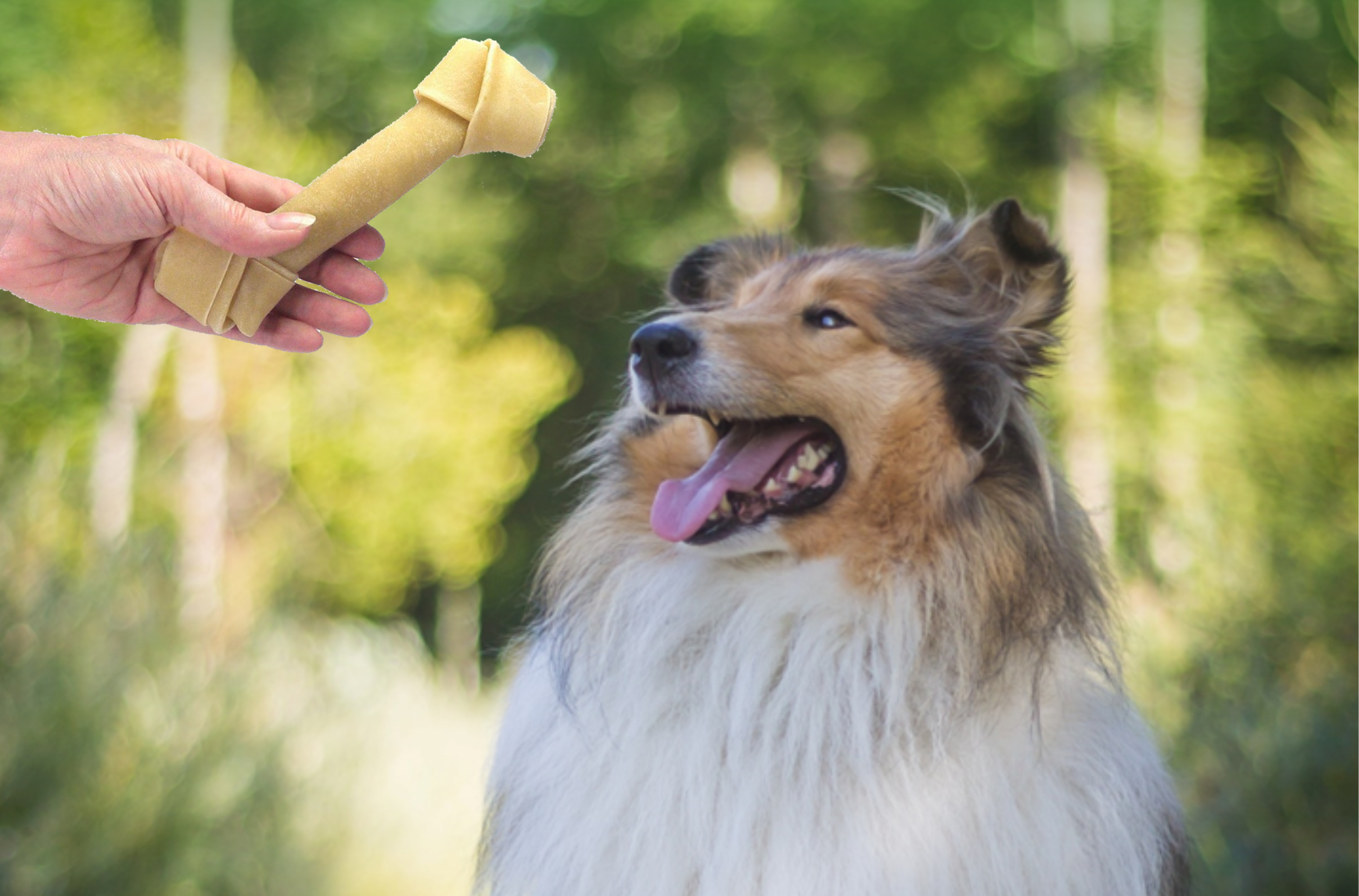 Britten & James Natural Rawhide Dog Chews - Britten & James