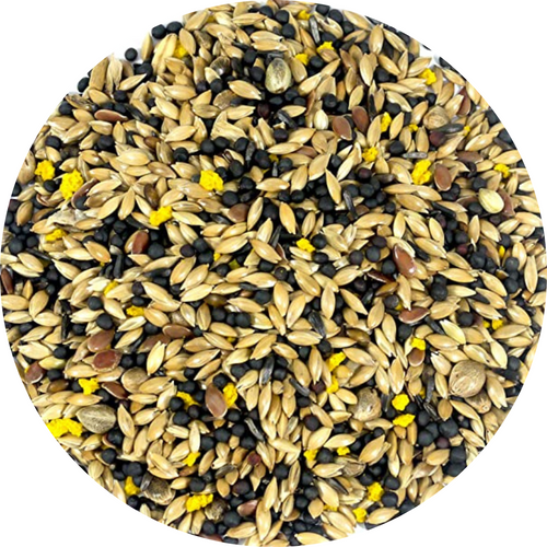 No 1 Special Canary Seed Mix with Egg Biscuit 1.6kg - Britten & James