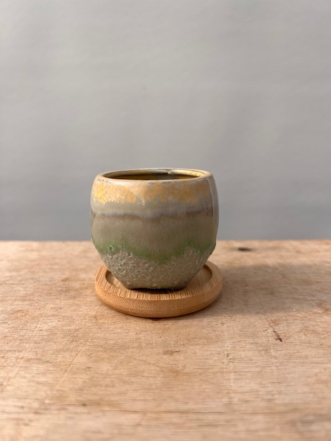 Mini Ceramic Pot (I-Single) - Botanic Wonders