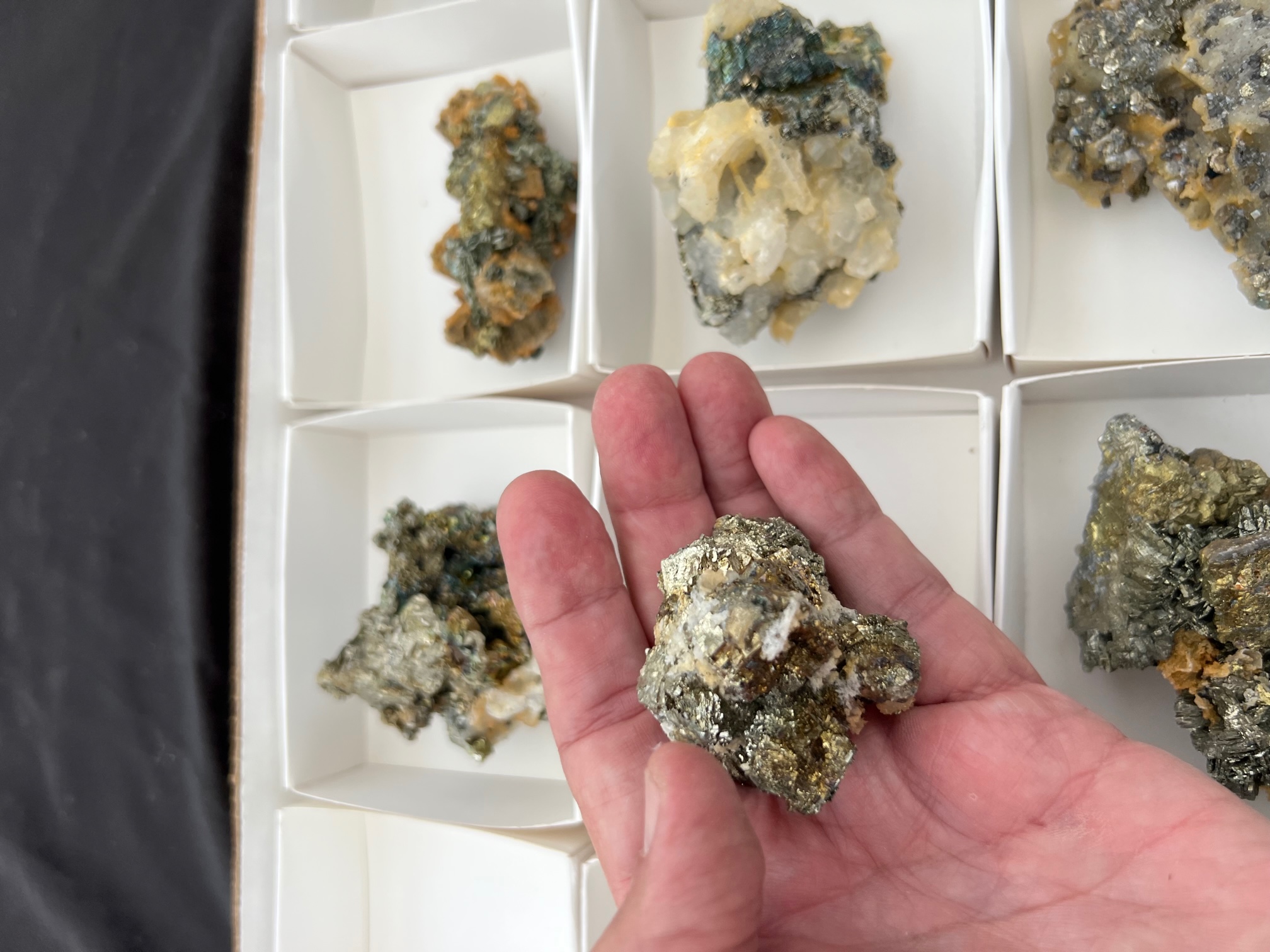 Pyrite from Morocco - Botanic Wonders