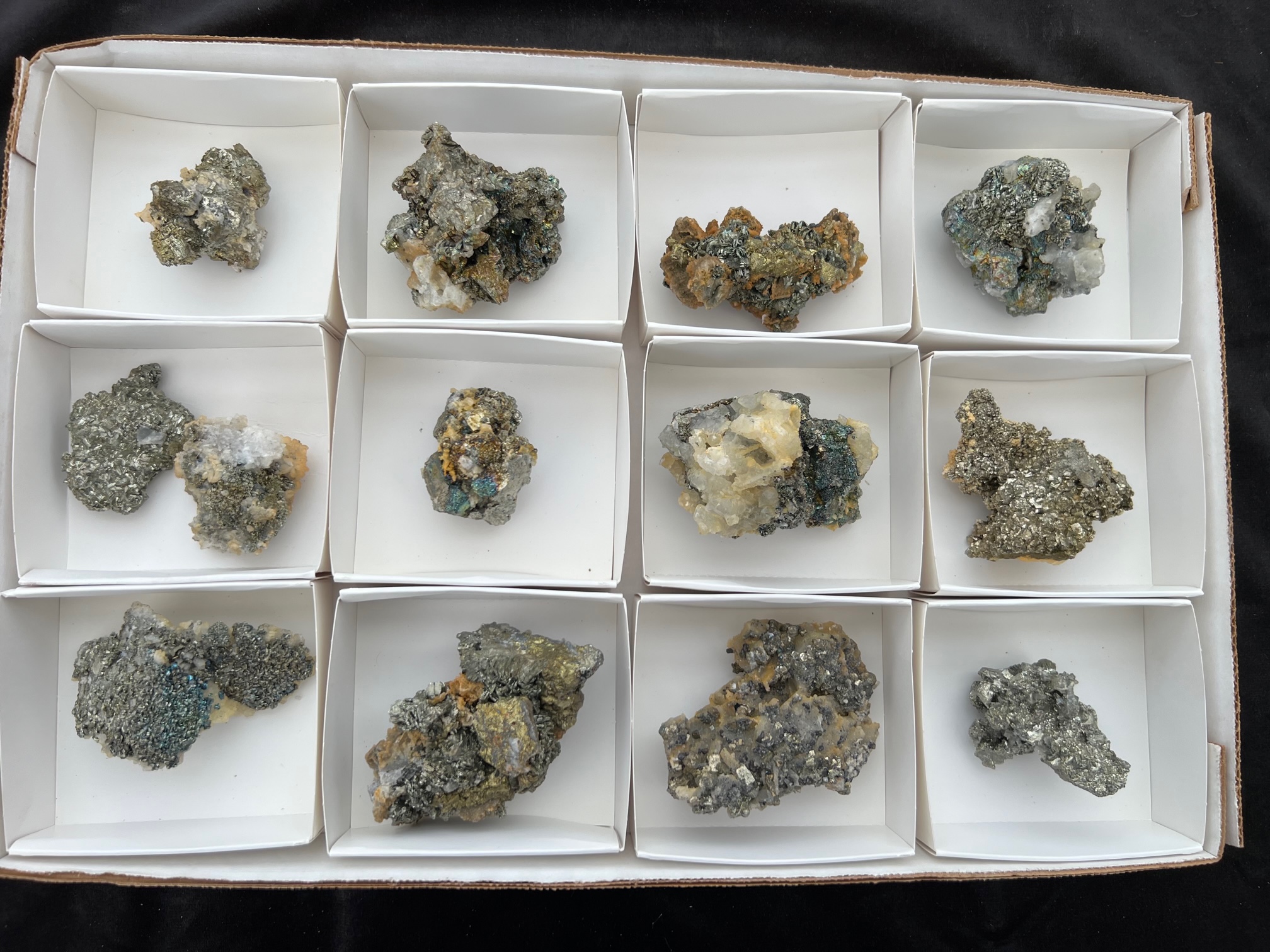 Pyrite from Morocco - Botanic Wonders