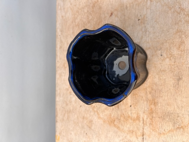 Small Scalloped Pot - Botanic Wonders