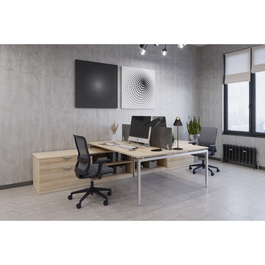 OfficeSource Variant Collection Typical - OSTYP321 - COE Distributing