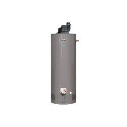 Richmond Essential Series 6GR40PVE2-40 Gas Water Heater, Natural Gas ...