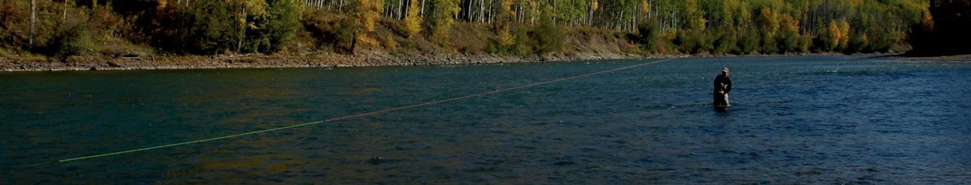 Shop - Fly Lines - Page 1 - Western Rivers Flyfisher