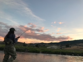 Local Waters - Western Rivers Flyfisher