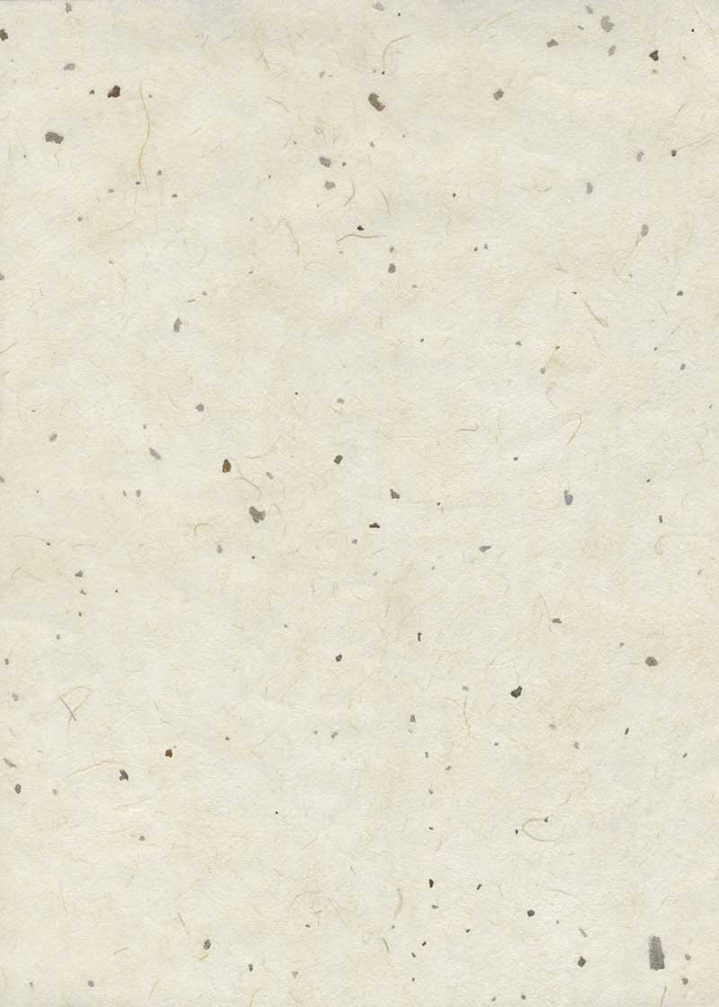 Shoji Natural - Roll - The Japanese Paper Place